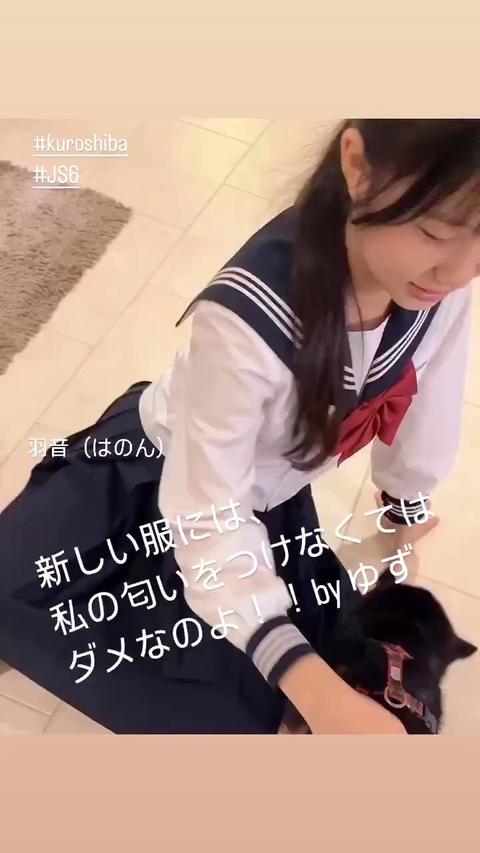 大好きなゆず（黒柴） 可愛いでしょ💕 癒しのゆず #js6 #セーラー服 #黒柴 #柴犬 - ミクチャ (MIXCHANNEL)